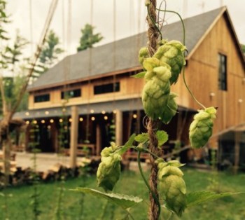 How Michigan’s Hop Lot Brewing Co. Is Bringing Fun & Flavor Up North ...
